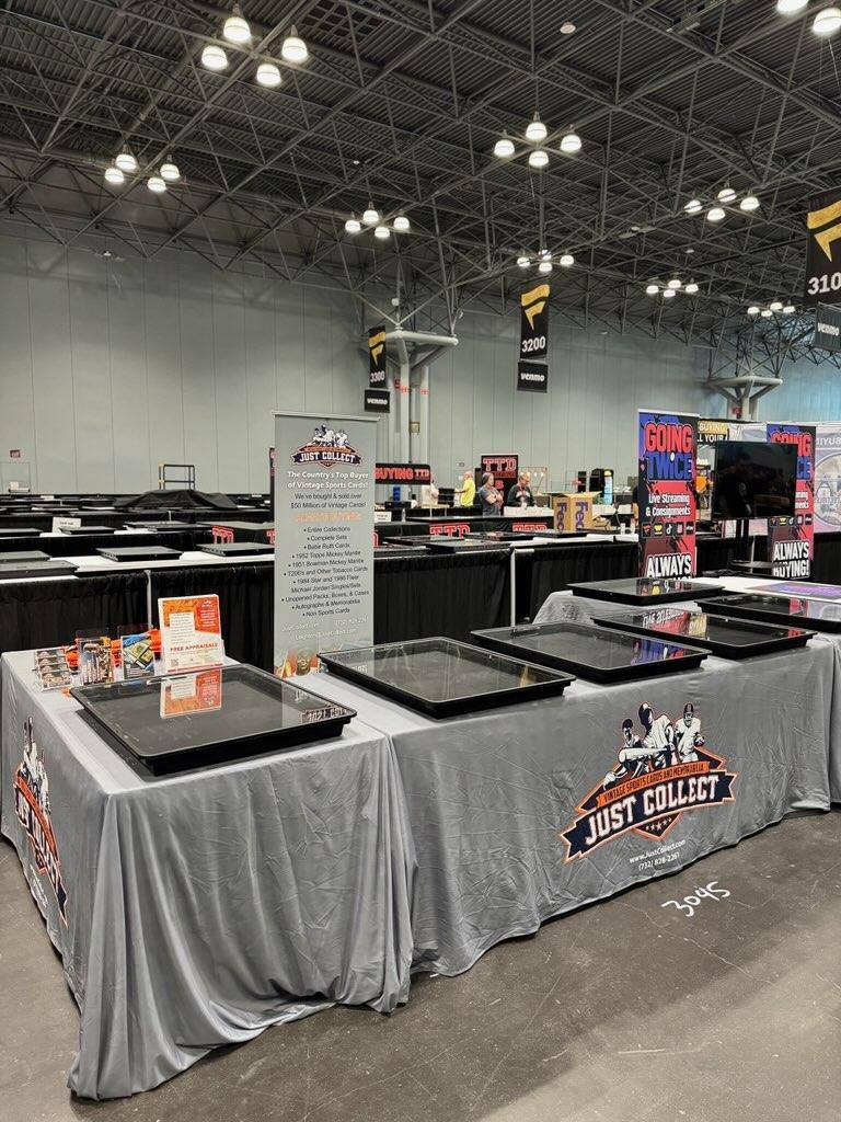 Behind-the-Scenes Photos at Fanatics Fest with Just Collect