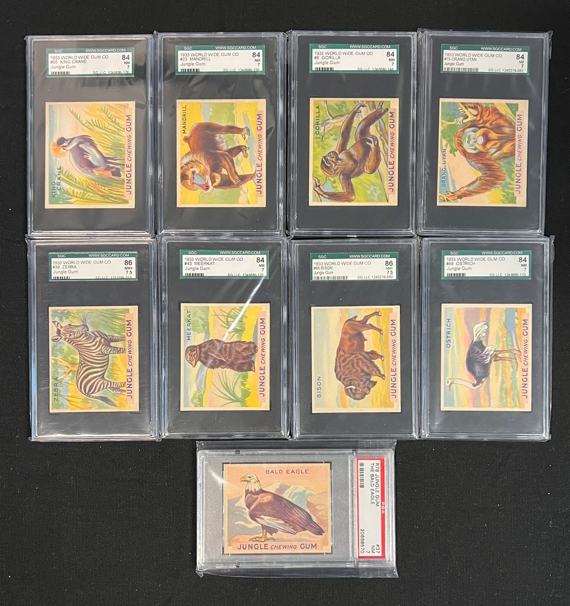 Thousands of Vintage Cards Appraised and Purchased from Boston Collector